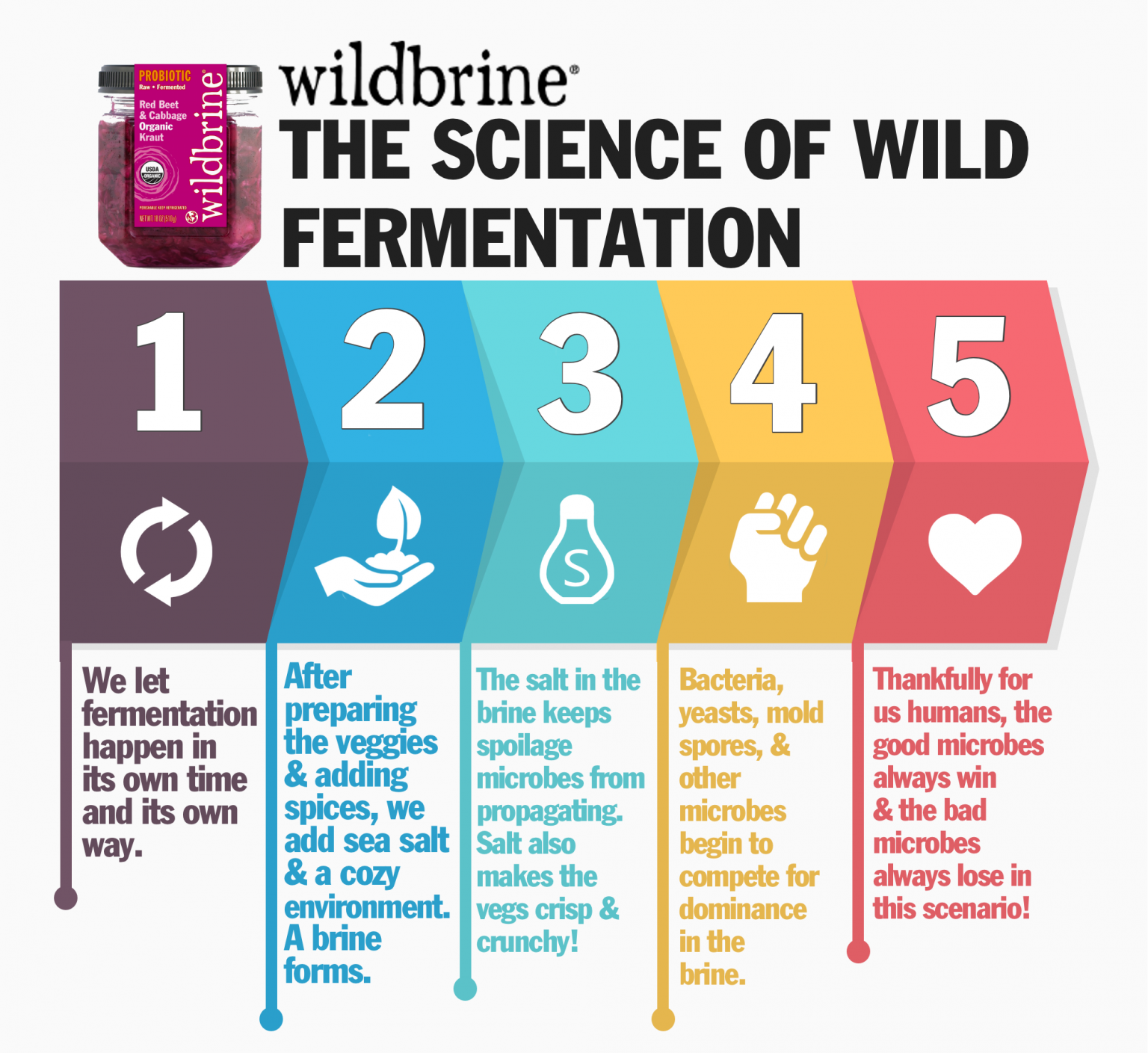 What is Wild Fermentation? | Gut Health | wildbrine